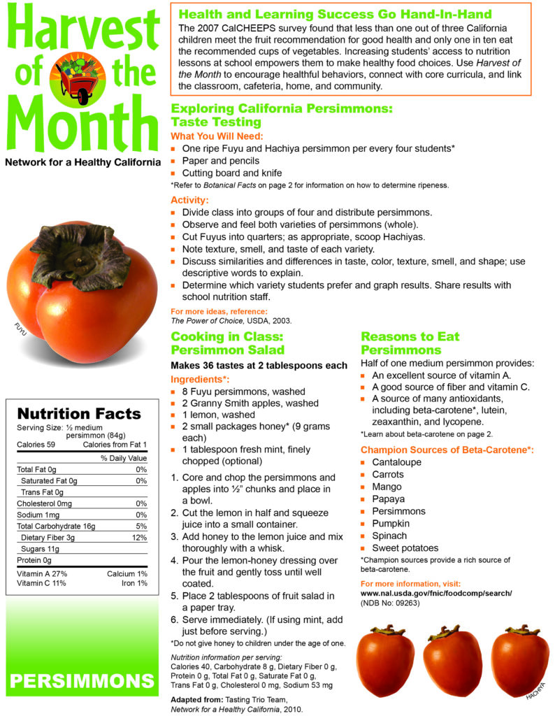 Harvest of the Month: Persimmons | Wavecrest Cafe Vista USD Nutrition
