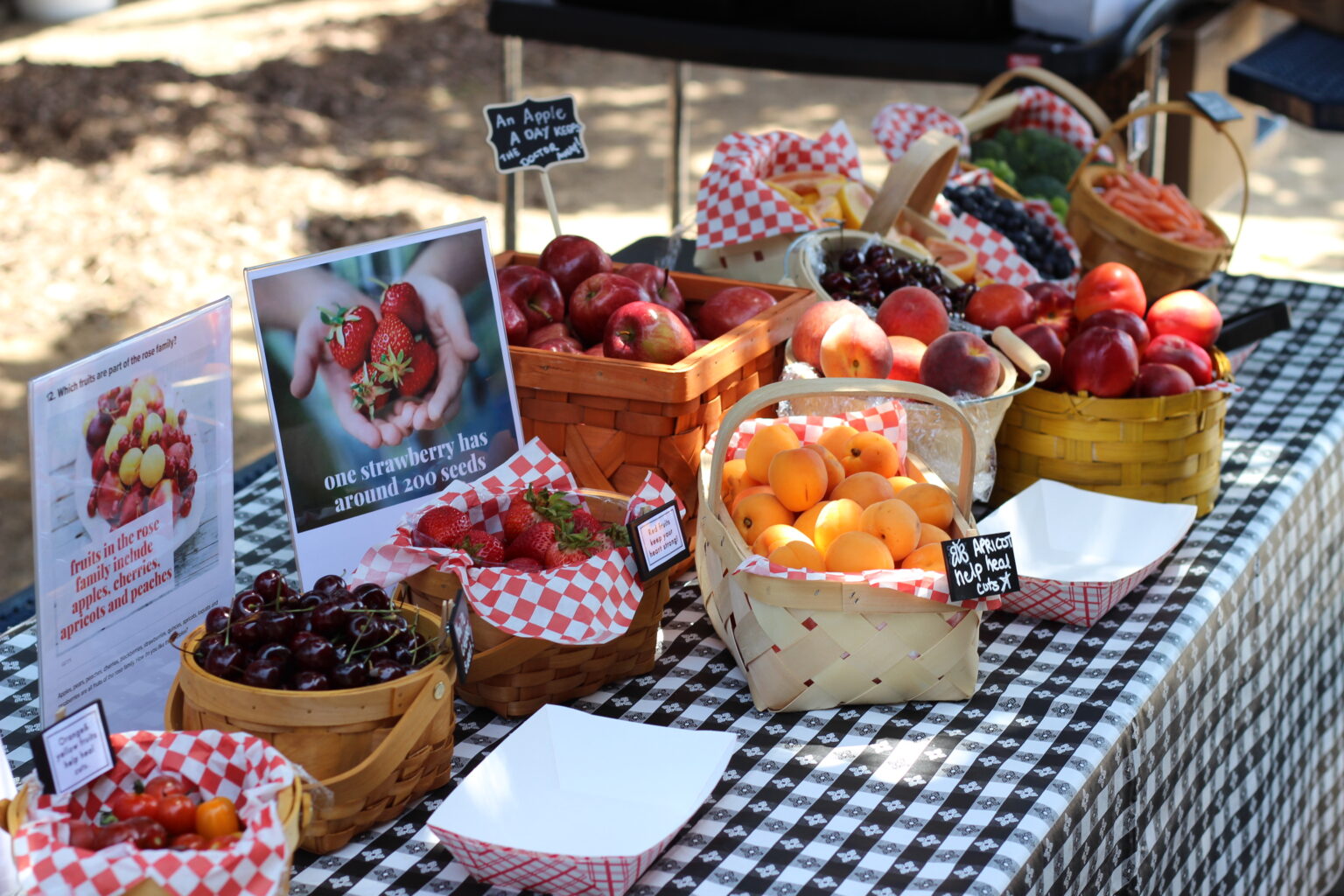 Vista Unified Kicks Off Summer Meals with Farm to Summer Week ...